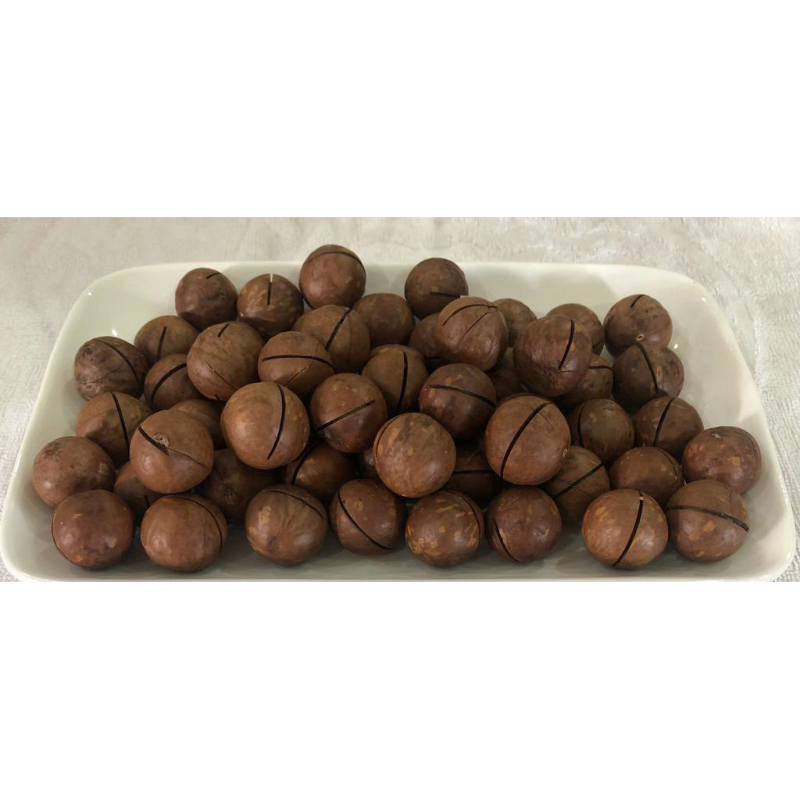 奶油味夏威夷果 Butter Flavour Macadamia Kernel (XL size) 500g | Shopee Malaysia