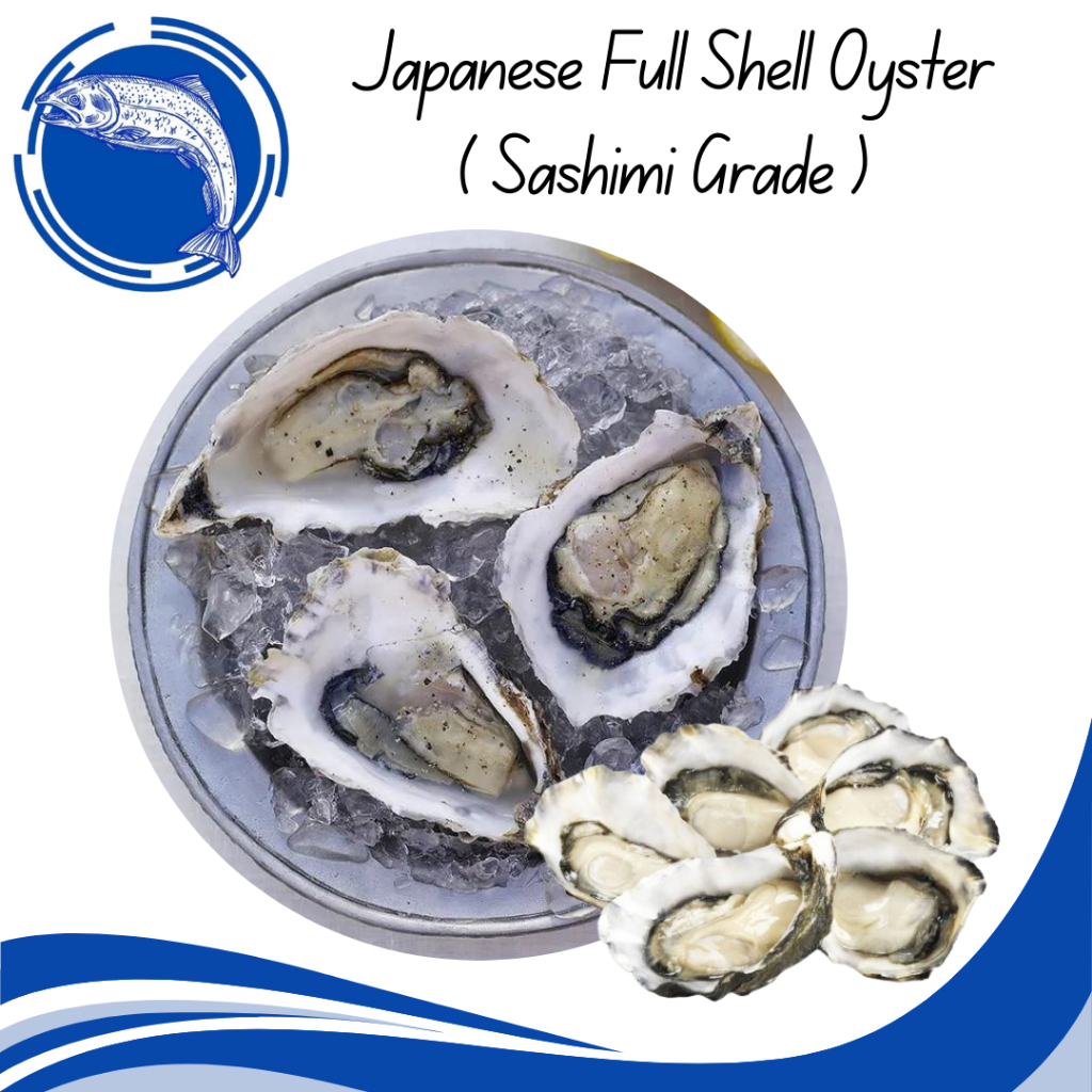 [ Wholesales ] Fresh Frozen Japanese Full Shell Oyster Sashimi Grade ...