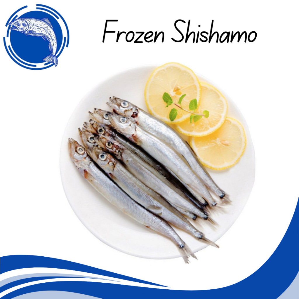 🔥New🔥 Frozen Shishamo ( Capelin Fish ) 多春鱼 | Shopee Malaysia