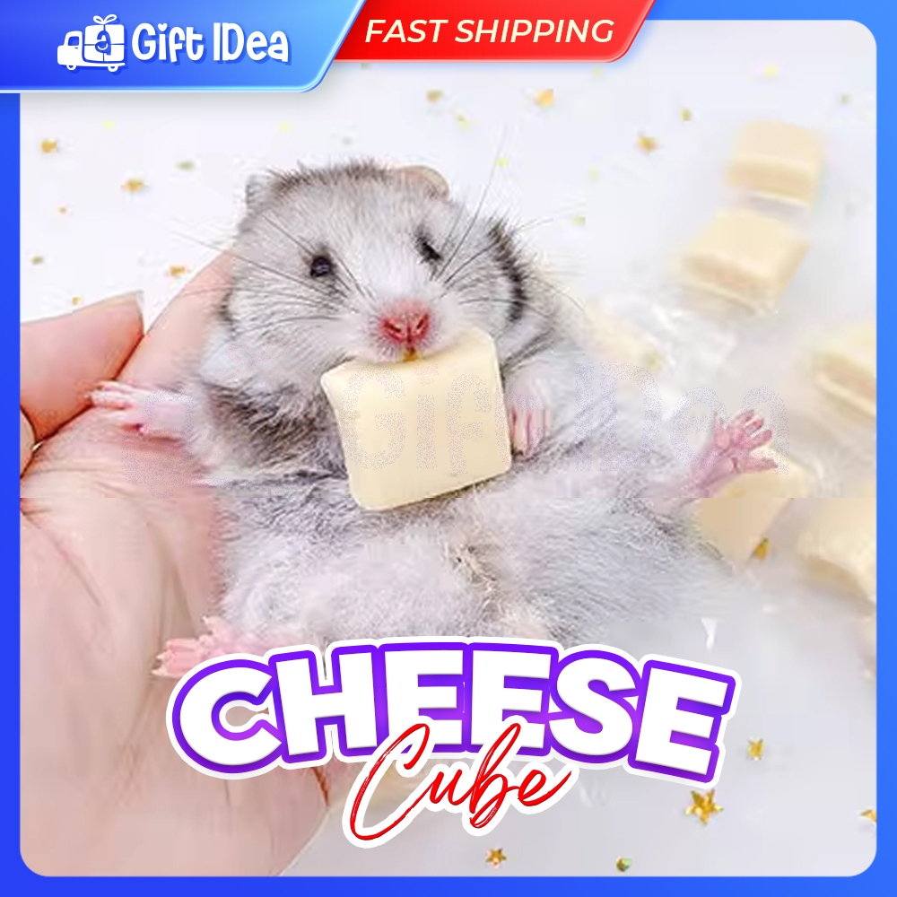 Hamster Cheese Cube Makanan ringan Cheese Dog, Cat, Sugar Glider ...