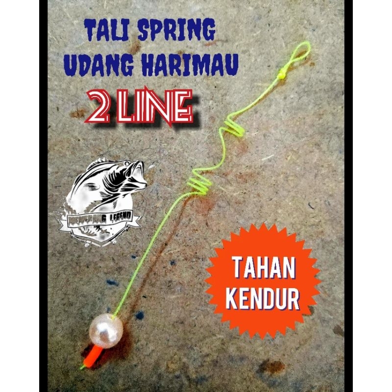 🔥2 LINE 🔥Tali Spring Udang Harimau Kolam | Shopee Malaysia