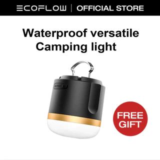 EcoFlow Malaysia Official Store Online, October 2024 | Shopee Malaysia
