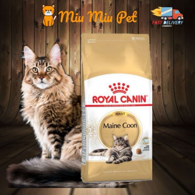 Royal Canin Maine Coon adult ️4 kg | Shopee Malaysia