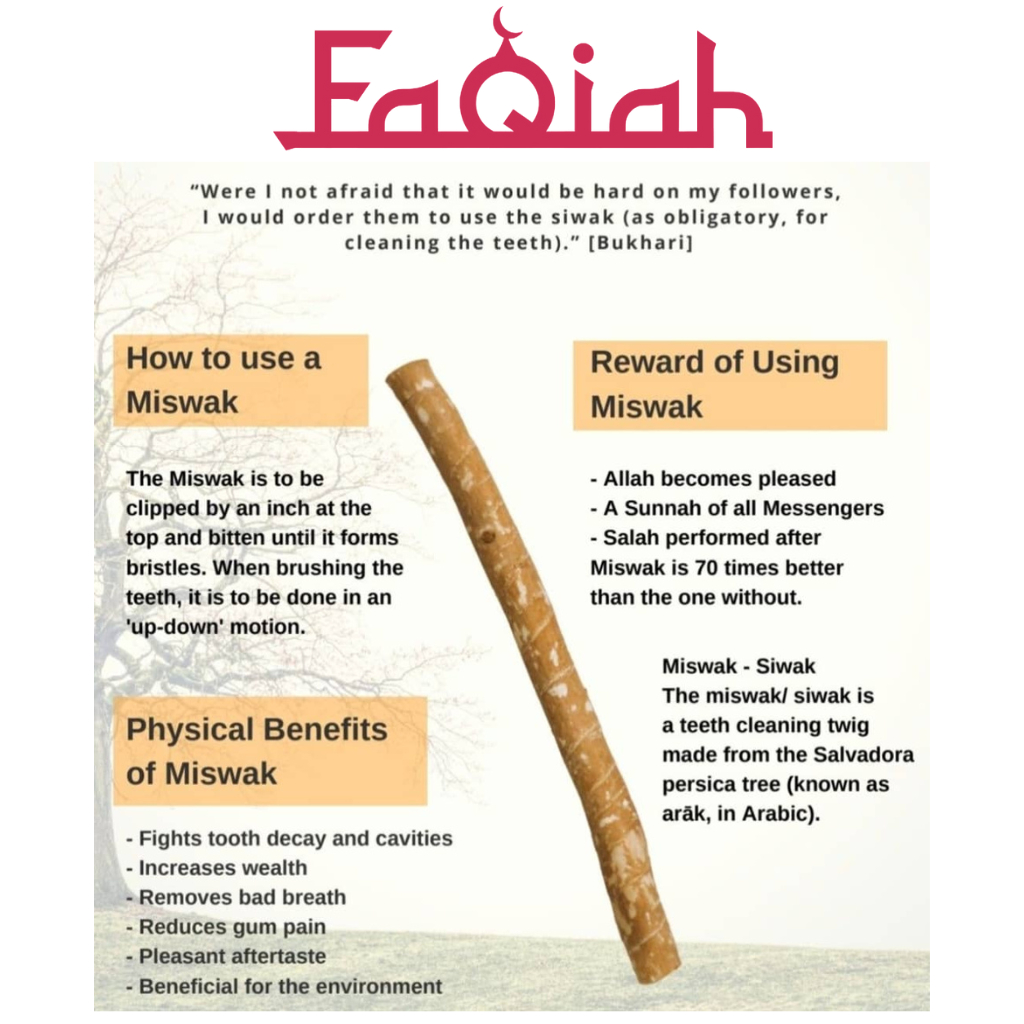 Kayu Sugi Miswak 5pcs Berus Gigi Asli Siwak Natural Tooth Brushes ...