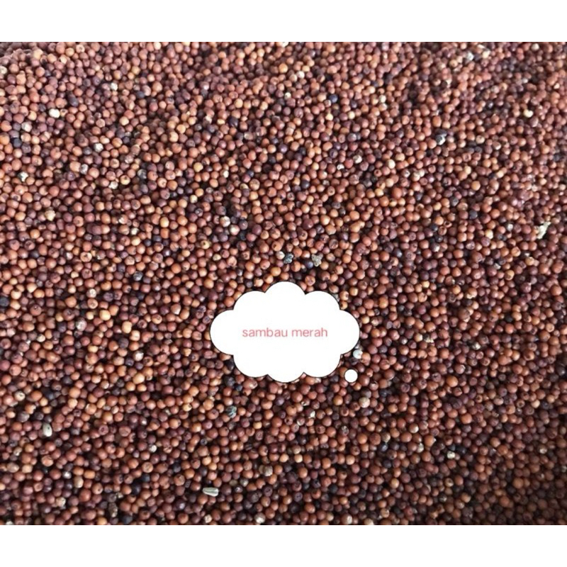 sambau merah // (1kg) | Shopee Malaysia