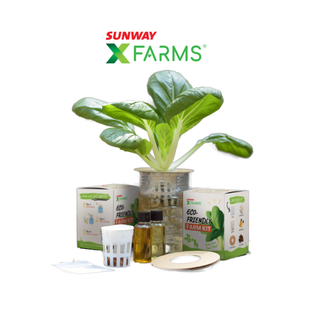 Sunway XFarms Eco-friendly Mini Farm Kit DIY Hydroponic Grow Kit ...