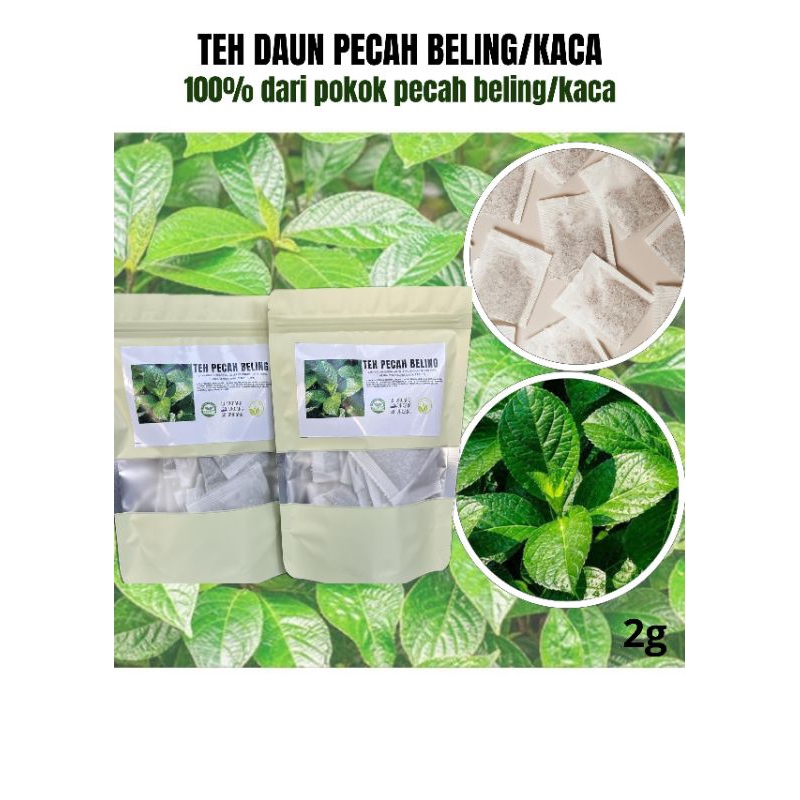 TEH PECAH BELING/KACA UNTUK MERAWAT DAN MENCEGAH BATU KARANG 100% DARI ...