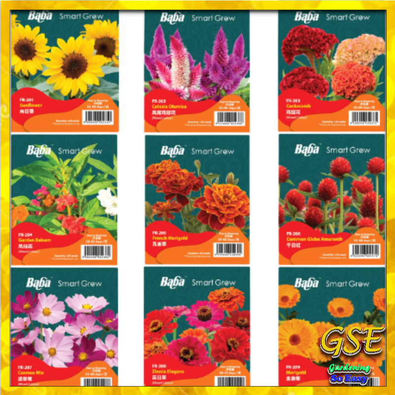 Baba Seeds Baba Smart Grow Flower Seed 花卉种子 Benih Bunga Baba | Shopee ...