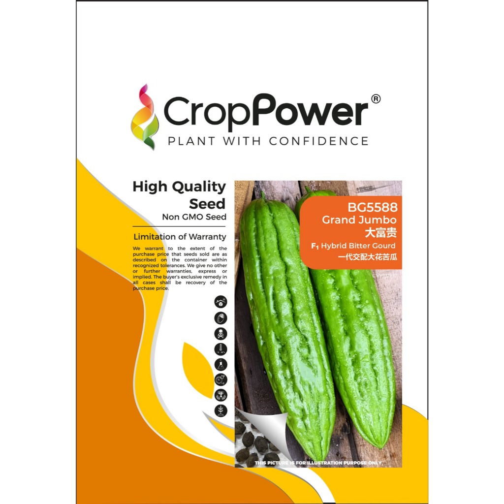 Benih Peria BG5588 Grand Jumbo F1 Hybrid Bitter Gourd Crop Power ...