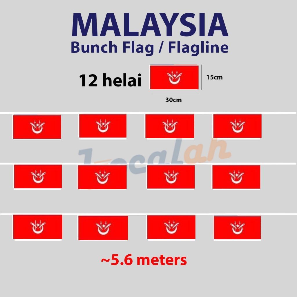 Malaysia Flagline Bunch Flag / All States Bunch Flags / Bendera ...