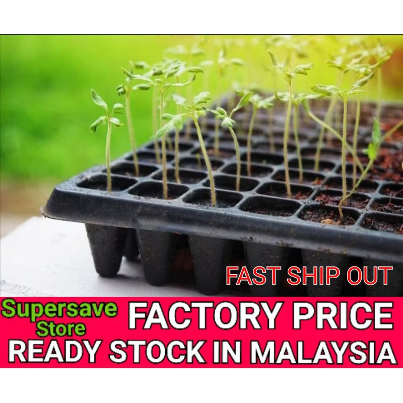 50 Holes Seeding Tray Nursery Tray Plastic Nursery Tray Bekas Benih ...