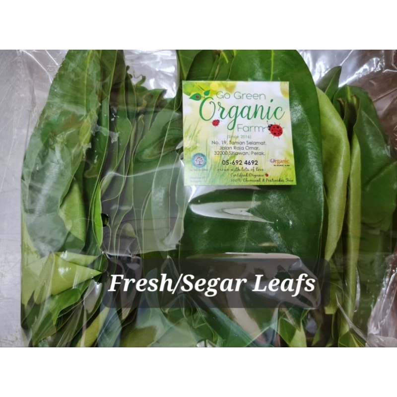 GOGREEN Organic Soursop leave Daun Durian Belanda Organik 有机红毛榴莲叶茶 ...