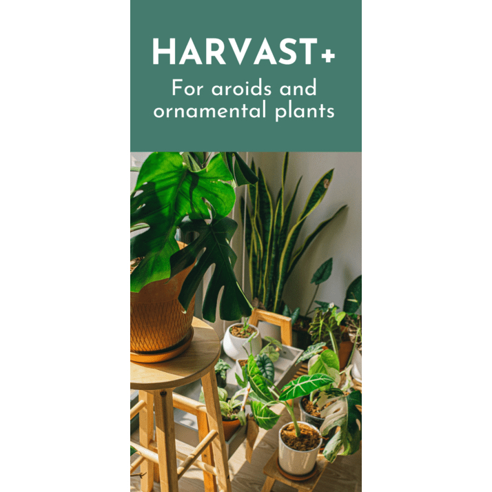 Harvast Photosynthesis Enhancer - Harvast + | Shopee Malaysia