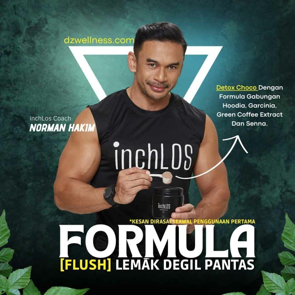 ( READY STOCK ) InchLos Detox Slimming Kurus Sihat Bakar Lemak Produk ...