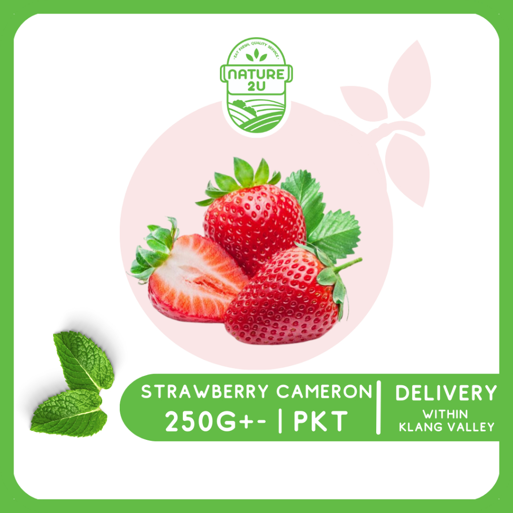 Nature2U Fresh Fruit - Strawberry Cameron Highlands Premium 金马伦优质草莓 ...