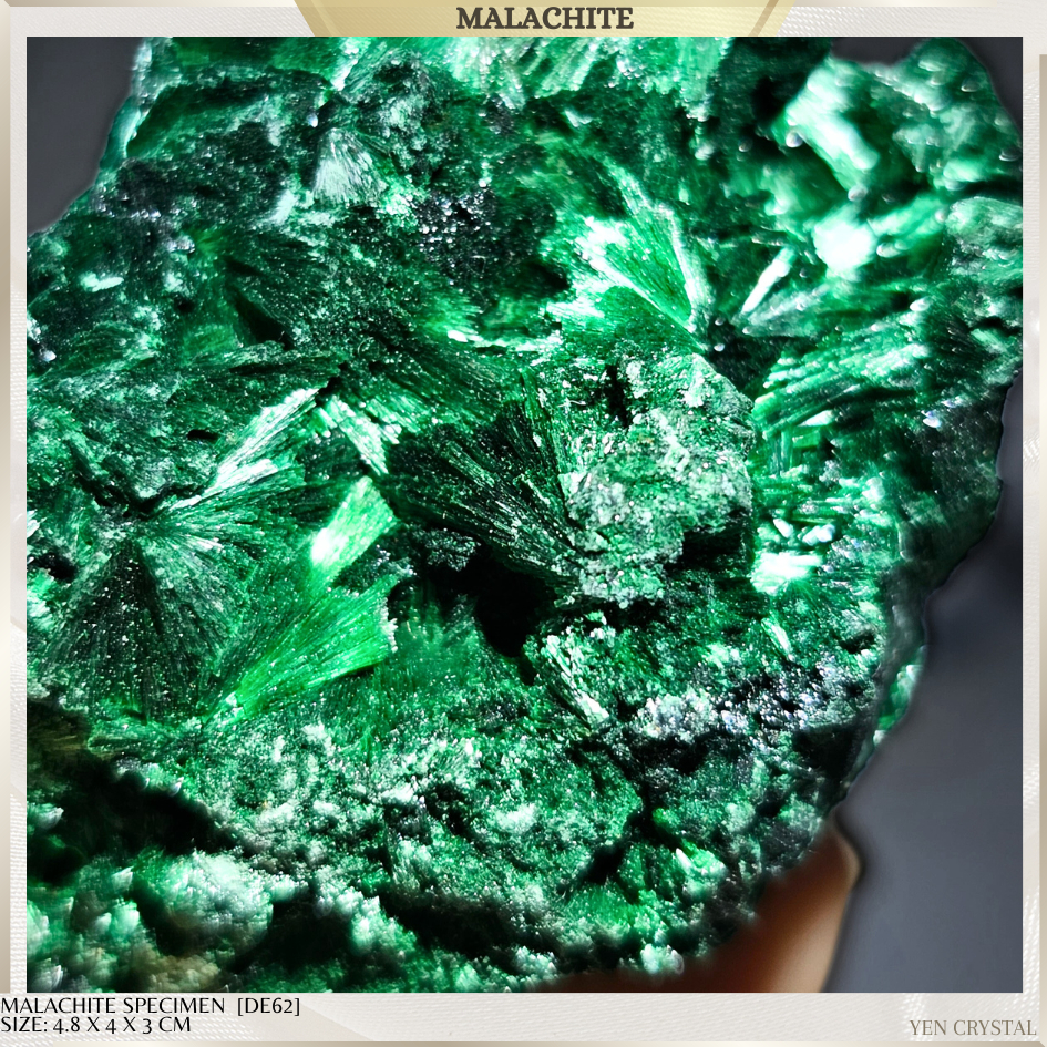 Malachite Specimen *PREMIUM COLLECTORS GRADE* [DE62] from Congo ...
