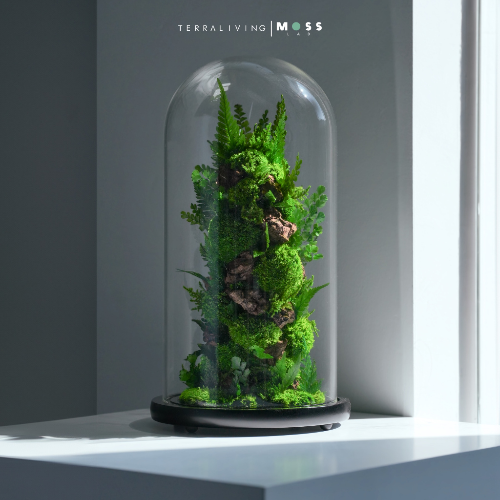 Domestic Grade: The Bryologist Dream XL - Fern Forest, ZERO Preserved ...