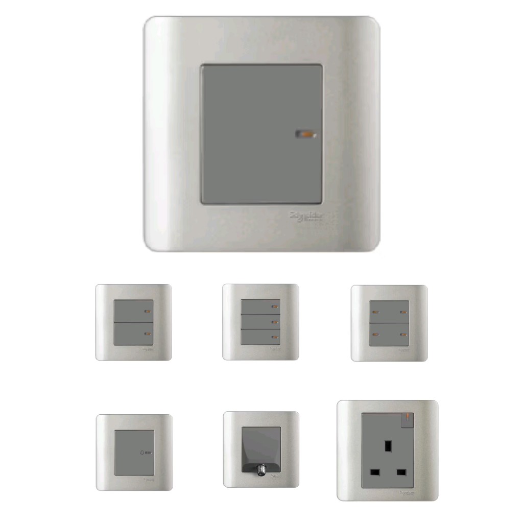 Schneider Zencelo Socket and Switches (Silver Satin Colour)(SA ...