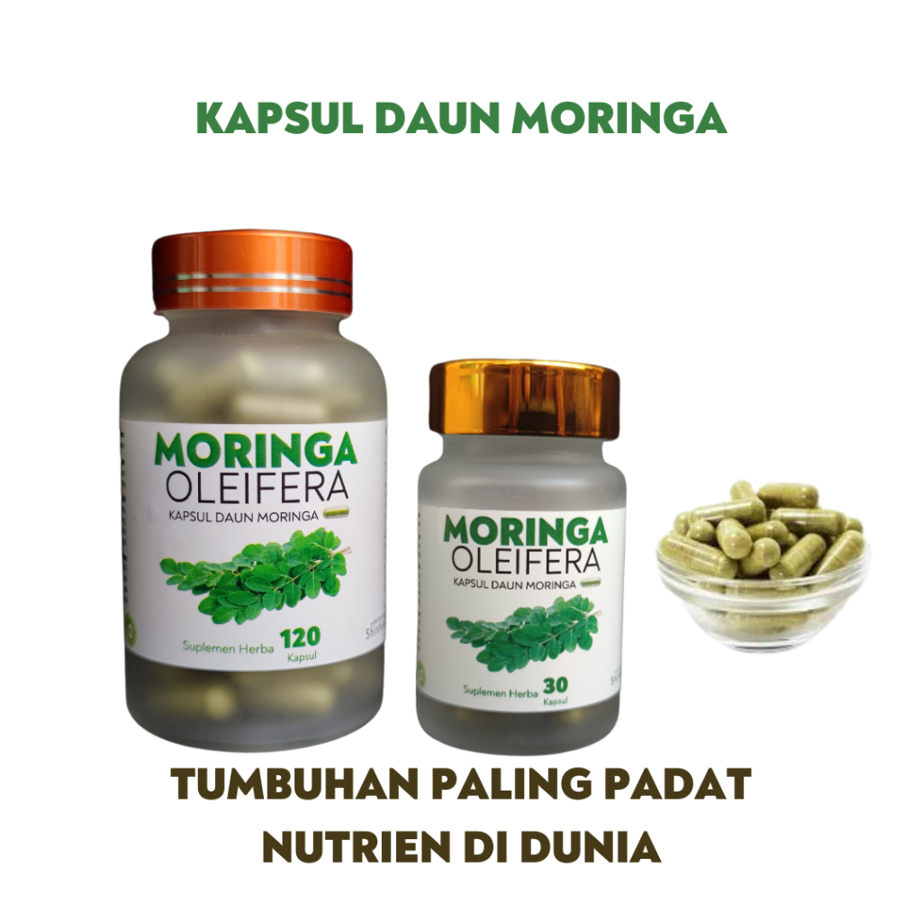 Kapsul Daun Moringa | Moringa Oleifera Capsule | Shopee Malaysia