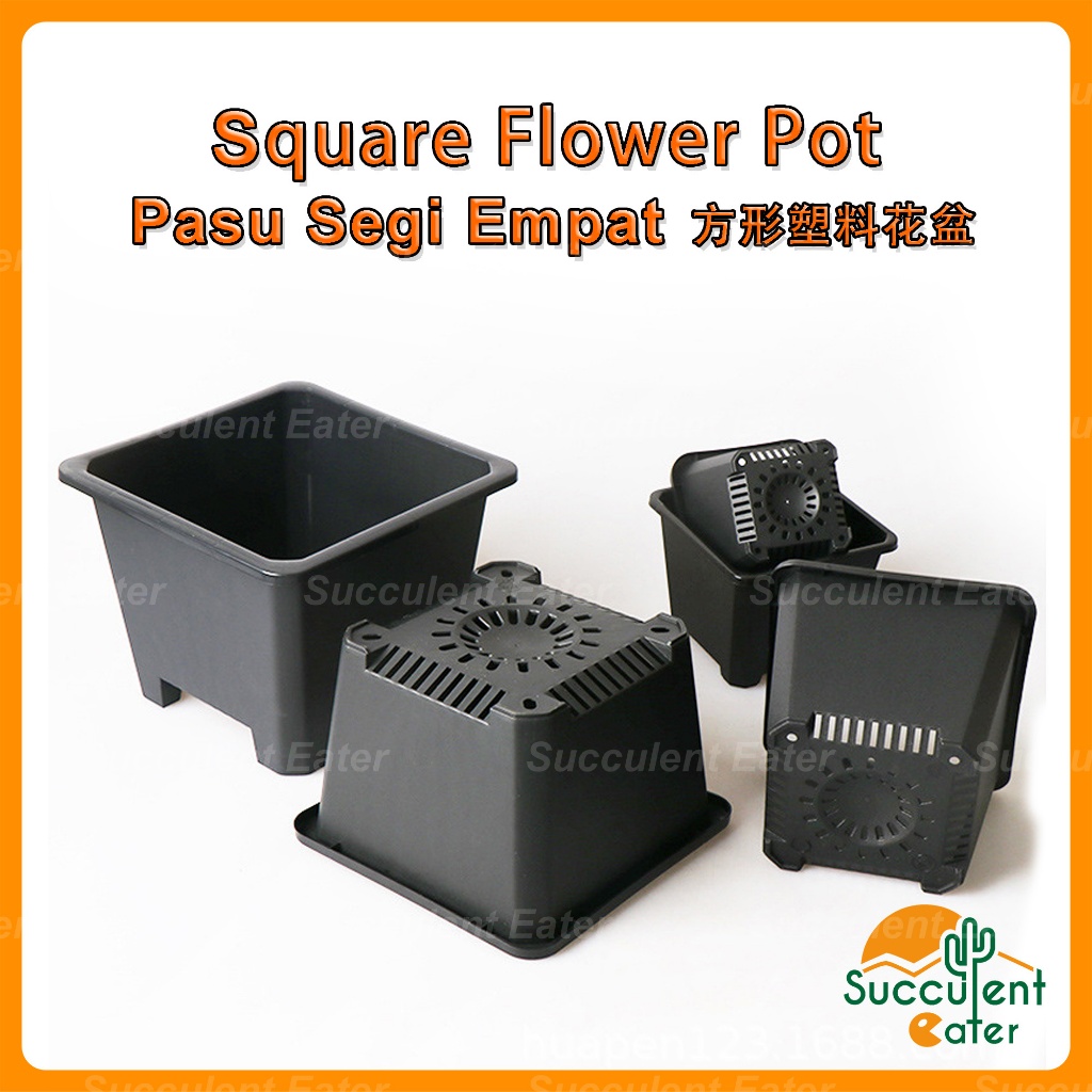 Flower Pot Thick Square Plastic Pasu Bunga Bonsai Succulent Cactus ...