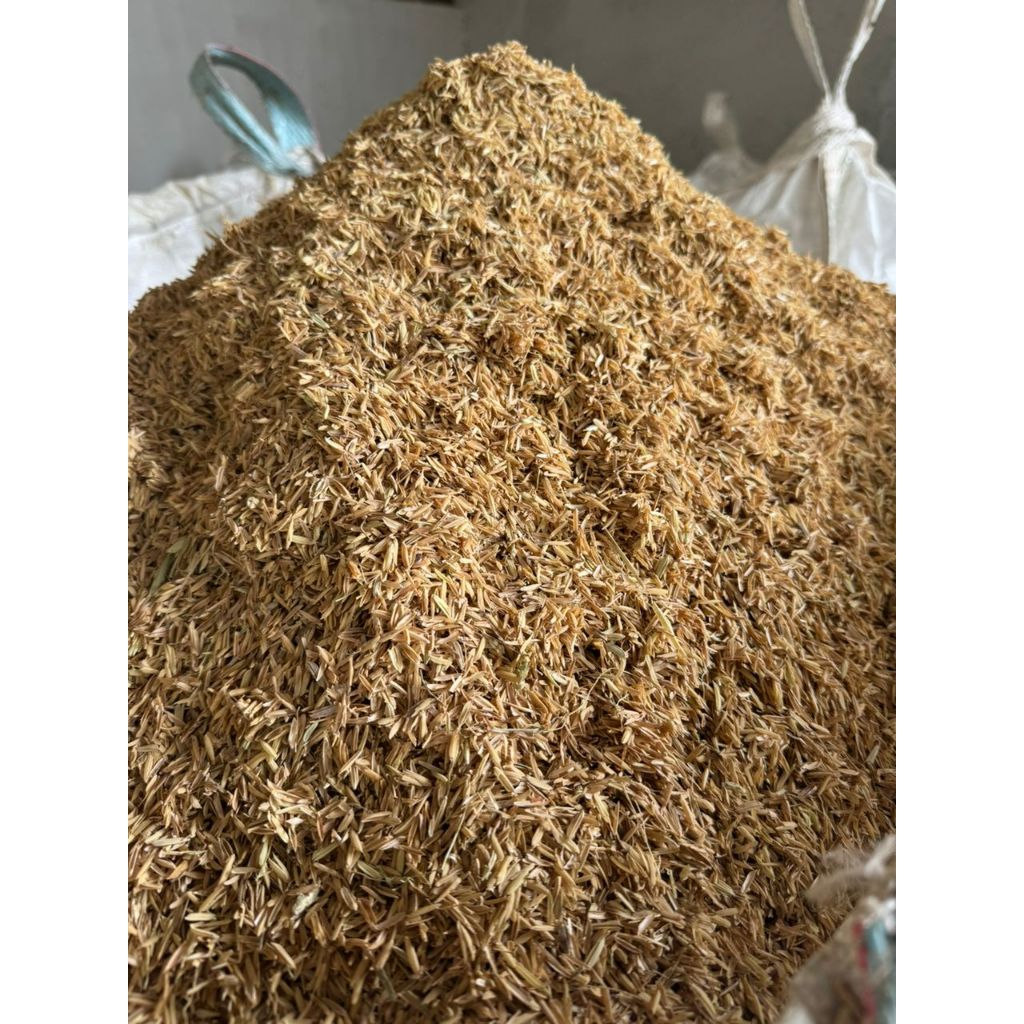 SEKAM PADI KUNING (8 KG) | Shopee Malaysia