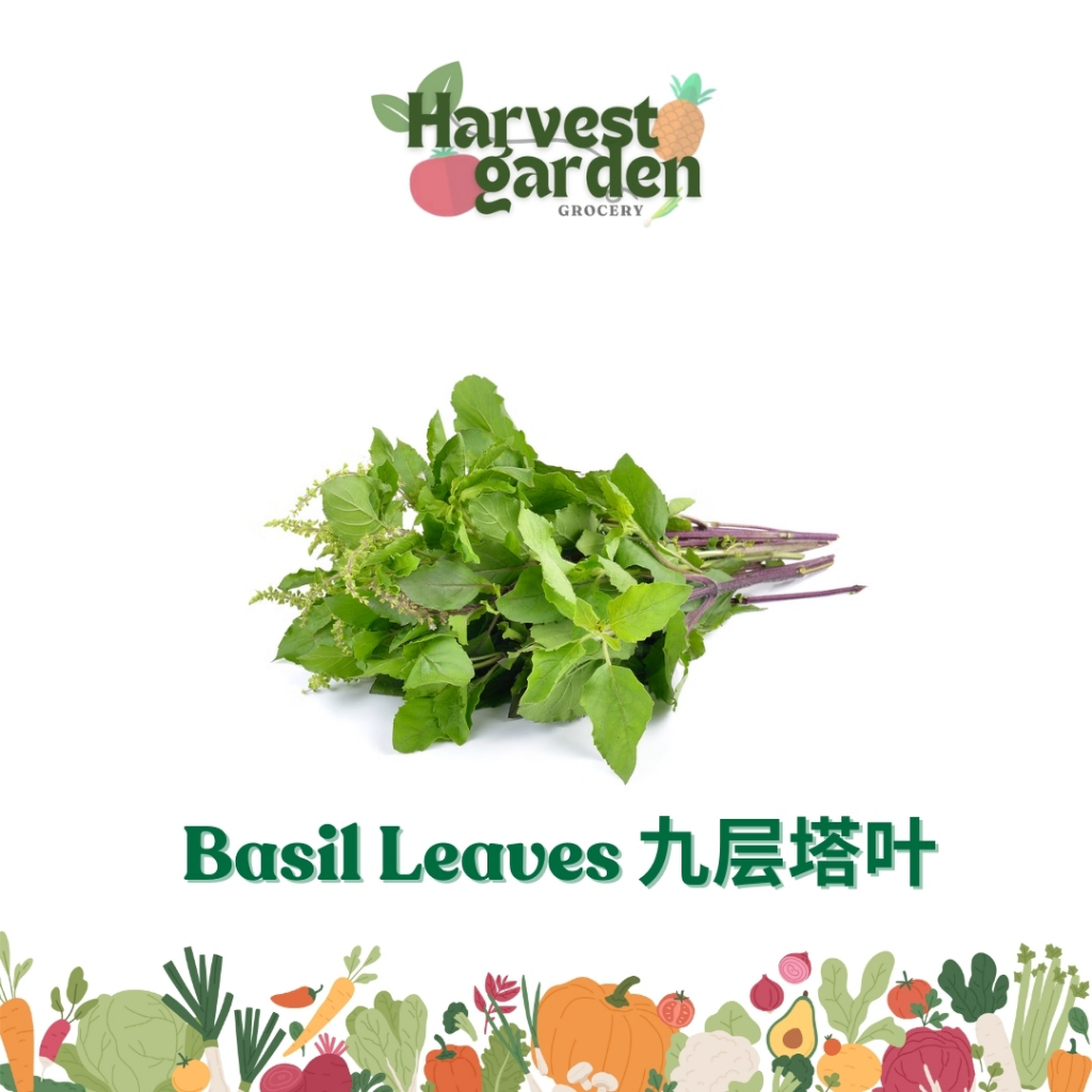 Fresh Basil Leaves // Daun Selasih 九层塔叶 1PKT (60G+/-) Daily Fresh ...