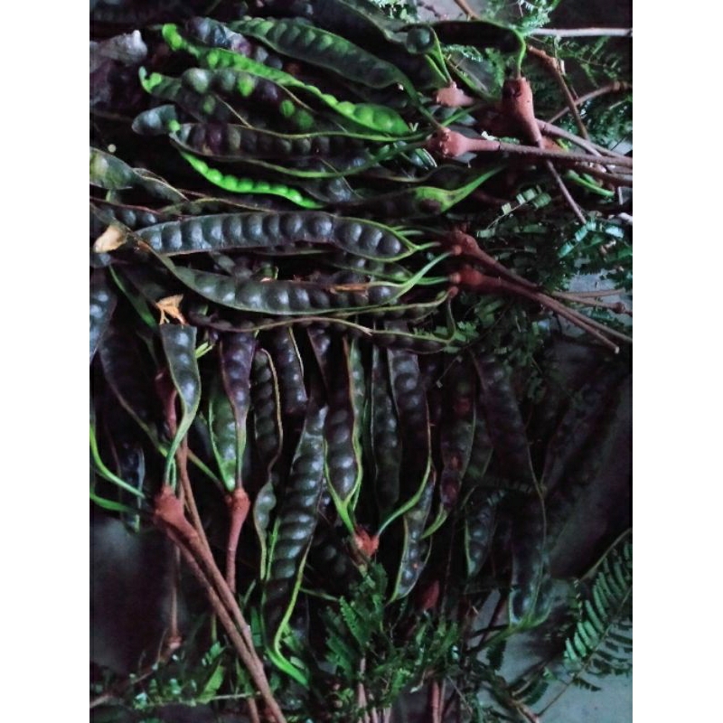 petai masak ranum(isi oren)10 kpg | Shopee Malaysia