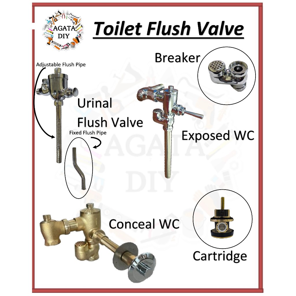 Toilet WC Flush Valve Exposed And Conceal /Urinal Flush Valve / WC ...
