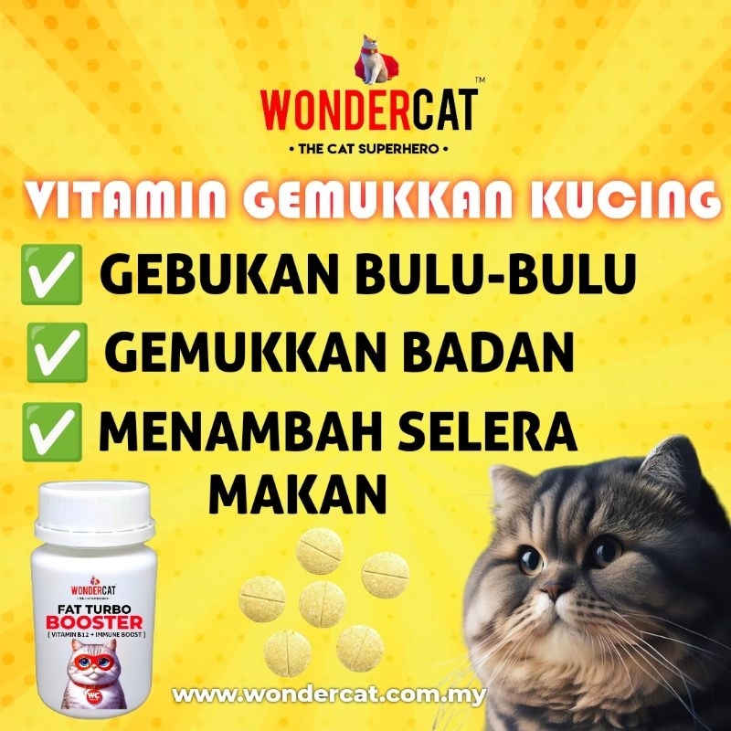 PREMIUM 10/30/60 PCS 𝗩𝗜𝗧𝗔𝗠𝗜𝗡 𝗣𝗘𝗡𝗚𝗚𝗘𝗠𝗨𝗞 𝗞𝗨𝗖𝗜𝗡𝗚 𝗪𝗢𝗡𝗗𝗘𝗥𝗖𝗔𝗧 𝗙𝗔𝗧 𝗧𝗨𝗥𝗕𝗢 ...