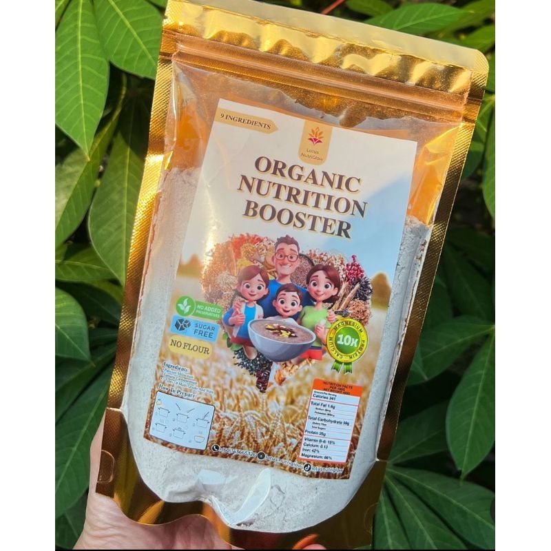 Nutritious Booster Porridge/Healthy Oats/Morning Meal Replacement ...