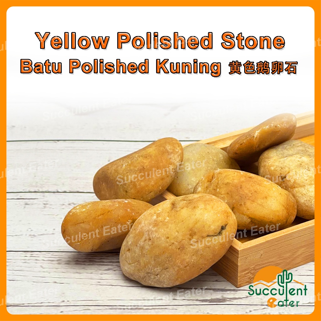1KG Yellow Polished River Pebble Stone Gardening Landscape Decoration ...
