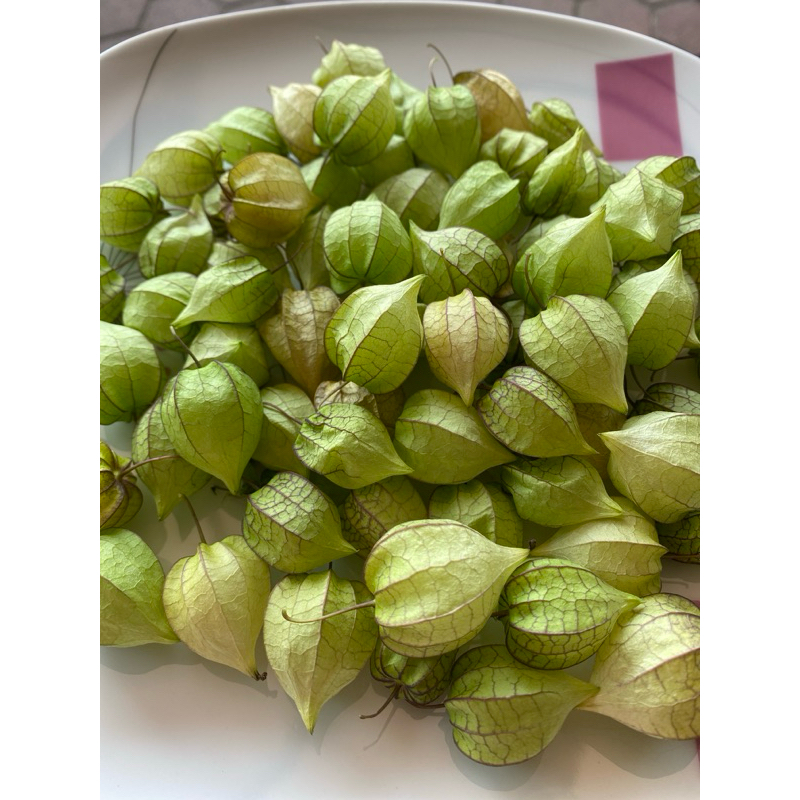 BUAH LETUP-LETUP KERING / DRIED GOLDEN BERRY / BUAH LETUP-LETUP BASAH ...