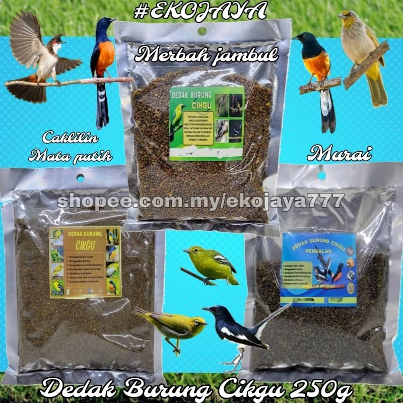 [EKOJAYA] Dedak Burung Cikgu 250g Merbah jambul Cak lilin Murai ...