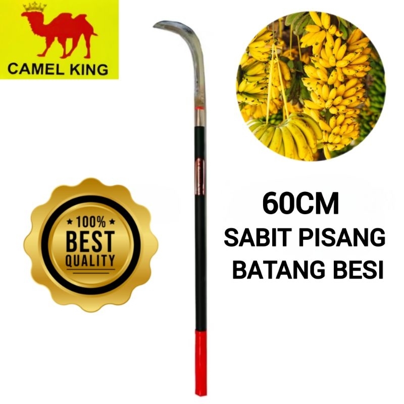 [Camelking fruit sickle]Sabit Pisang/ Sabit Pisang Batang Besi/ Sabit ...