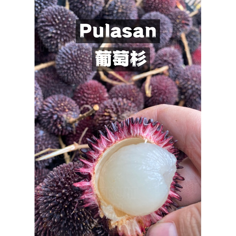Buah Pulasan 葡萄桑 500g | Shopee Malaysia