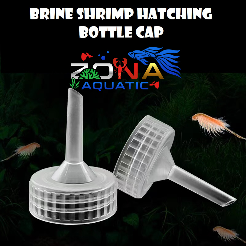 READY STOCK | BRINE SHRIMP HATCHING BOTTLE CAP | DIT BOTTLE CAP | BBS ...