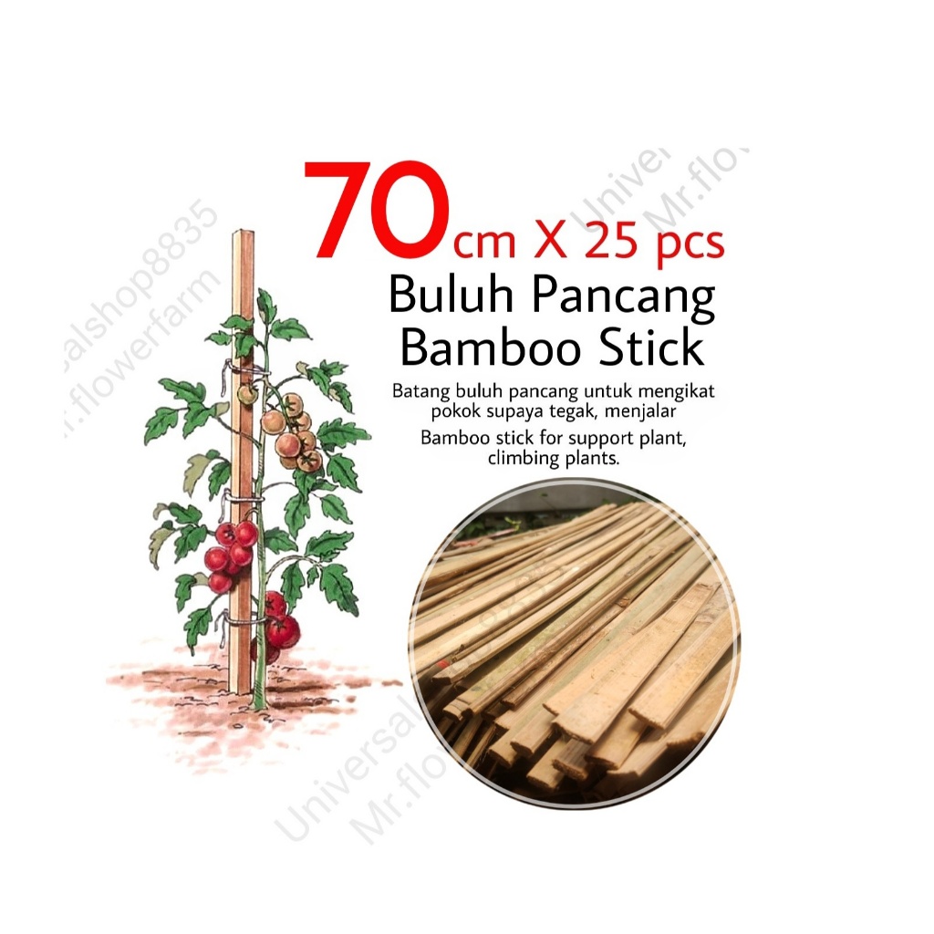 70cm x 25pcs Buluh pancang Pokok Bamboo stick Plants Stakes 竹子/home ...