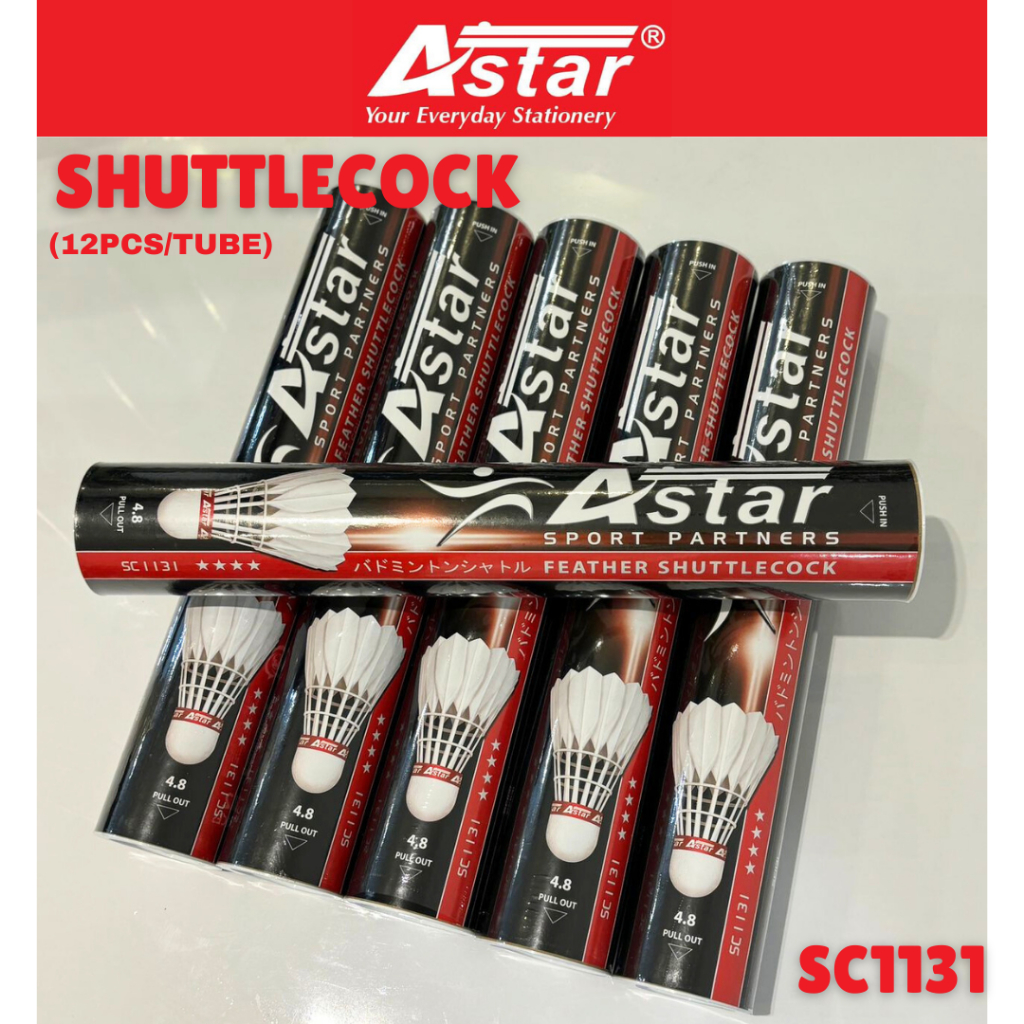 Badminton Shuttlecock | Shuttlecocks | Astar | 12pcs per tube| Training ...