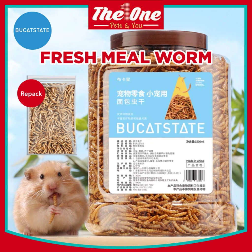Bucatstate Dried mealworm 1500ml Hamster Worm Reptile Dried Mealworm ...