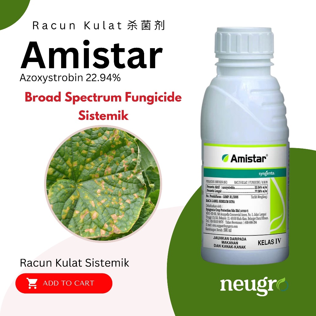 Syngenta AMISTAR 500ml (Azoxystrobin 22.94%) Broad Spectrum Fungicide ...