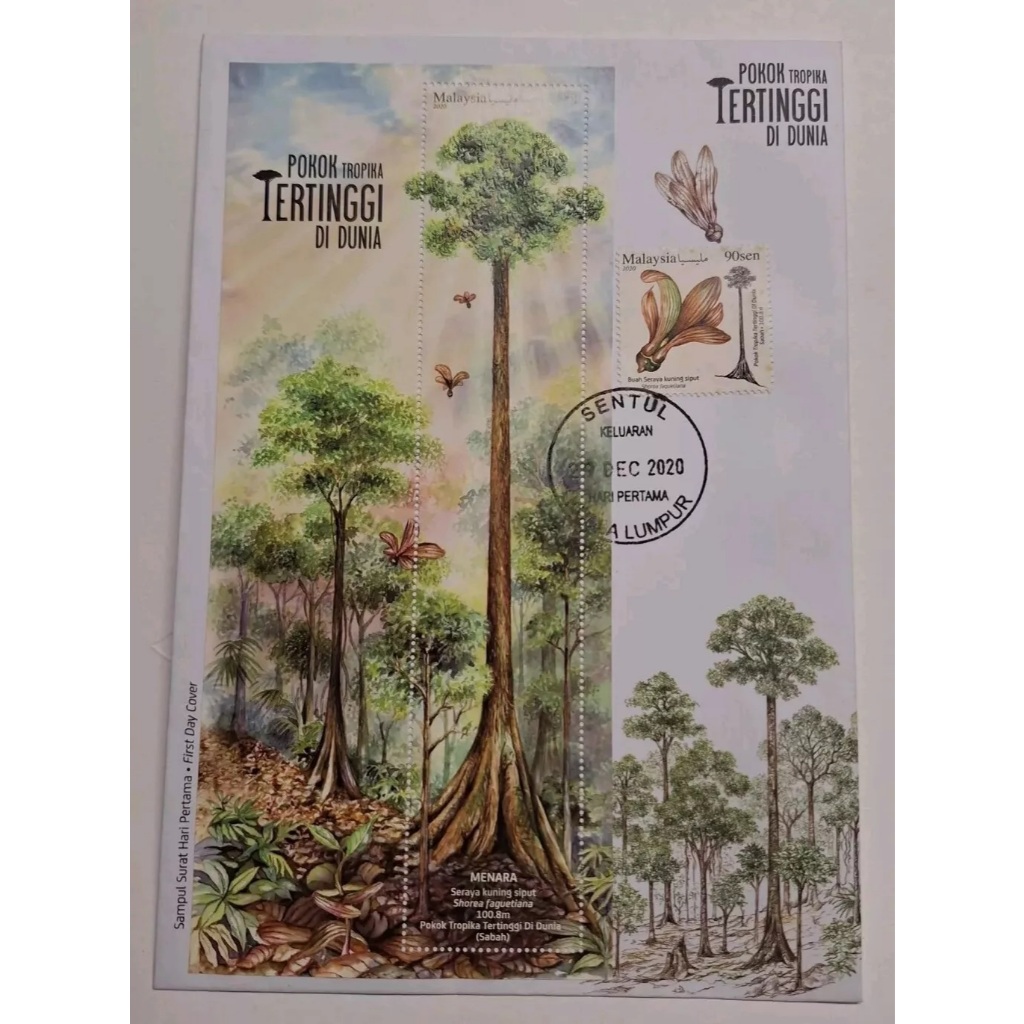 Malaysia 2020 Pokok Tropika Tertinggi Di Dunia World Tallest Tropical ...