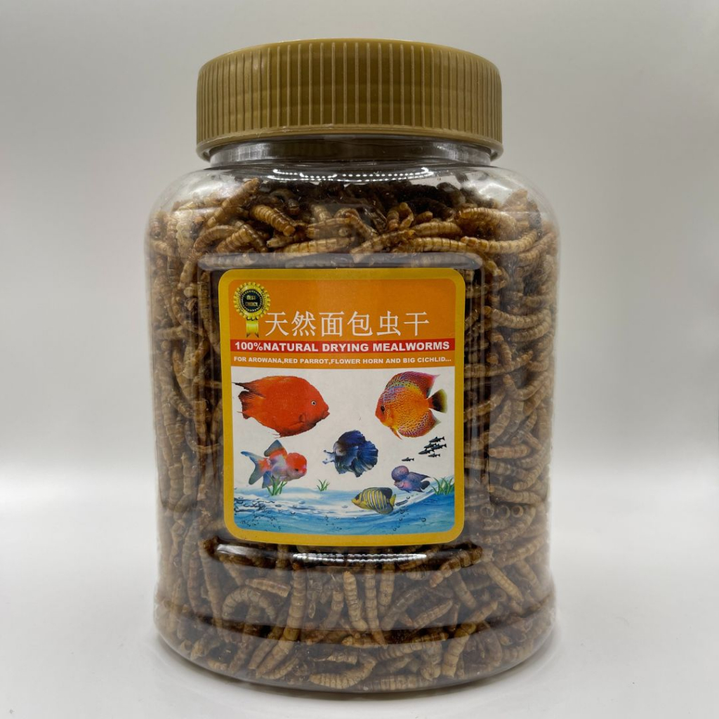100% Natural Drying Mealworms 120g (Fish Food - Makanan Ikan, 鱼饲料 ...