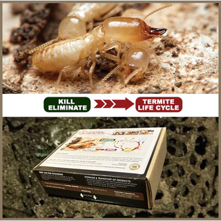 Termite Baiting Station TERMITES HUNTER / Termite box / Kotak Umpan ...