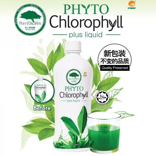 PHHP Phyto Chlorophyll Plus Liquid 1 Bottle 500ml (Exp : 04/2025 ...