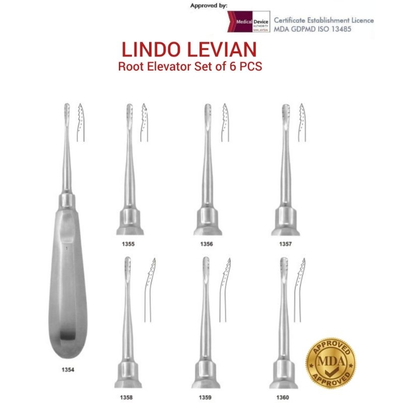 Dental LINDO LEVIAN Root Elevator Set of 6 PCS Straight and Curved - Stainless Steel Gigi ...