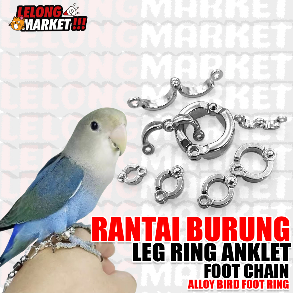 [Gelang Kaki Burung] Rantai Burung Brid Alloy Foot Chain Leg Ring ...