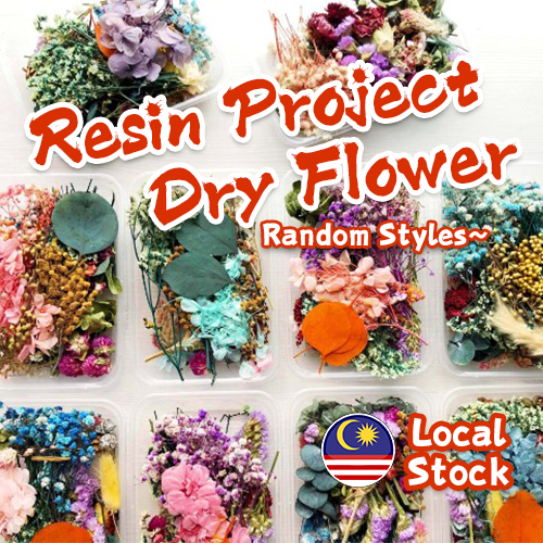 Everlasting dry flower for epoxy resin project real pressed leaf ...