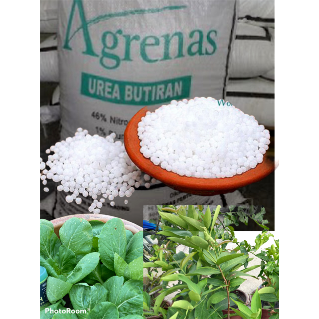 10kg / Baja Urea N46/ Baja Kesuburan Tanaman & Pertumbuhan Serta ...