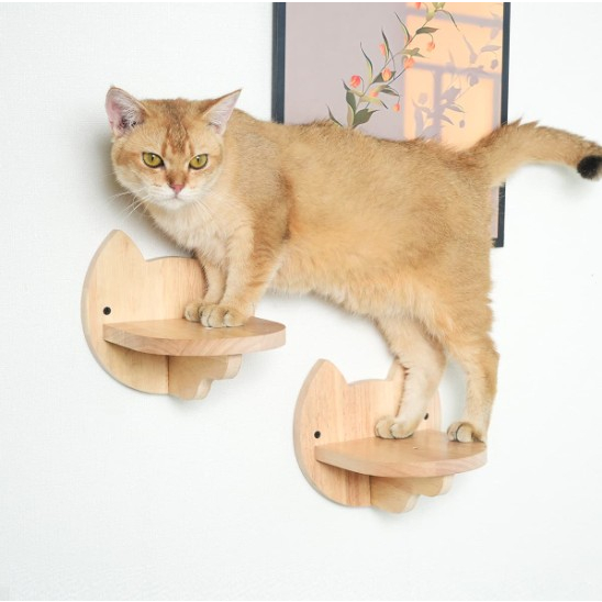 Cat Wall Playground, Cat Wall Steps, Cat Shelf, Cat Ladder, Cat Walks ...