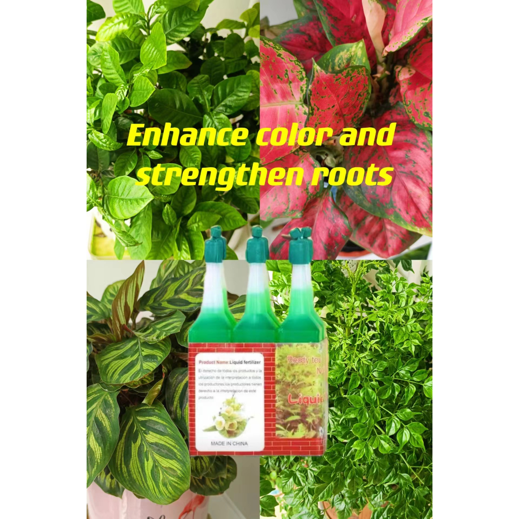 ☘️Nnuo Liquid hydroponic fertilizer enrich the nutrient solution of ...